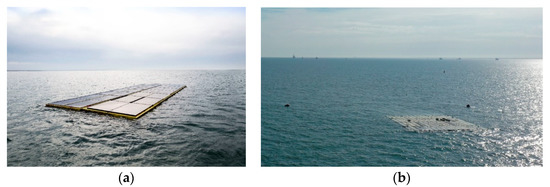 Environmental Observations at the First Offshore Solar Farm in the ...