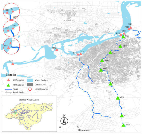 Microplastic Occurrence Characteristics and Ecological Risk Assessment ...