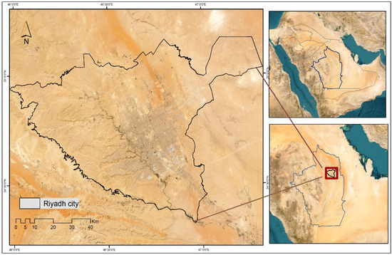 Assessing the Impact of Urban Expansion on the Urban Environment in ...