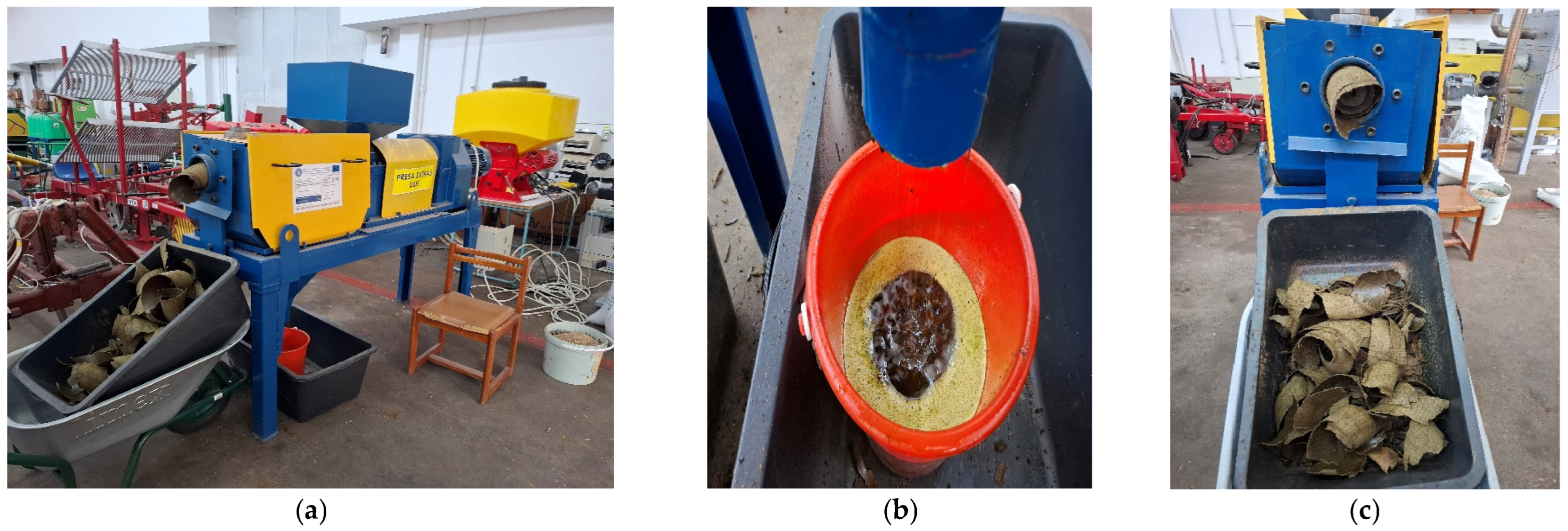 Valorizing Hempseed Meal as a Circular Bio-Ingredient for Sustainable ...