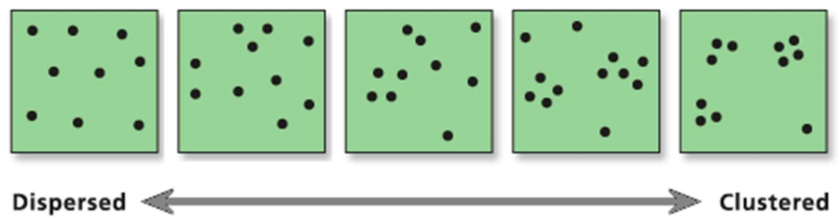 Equity in Urban Parking Distribution: A Spatial Statistical Framework ...
