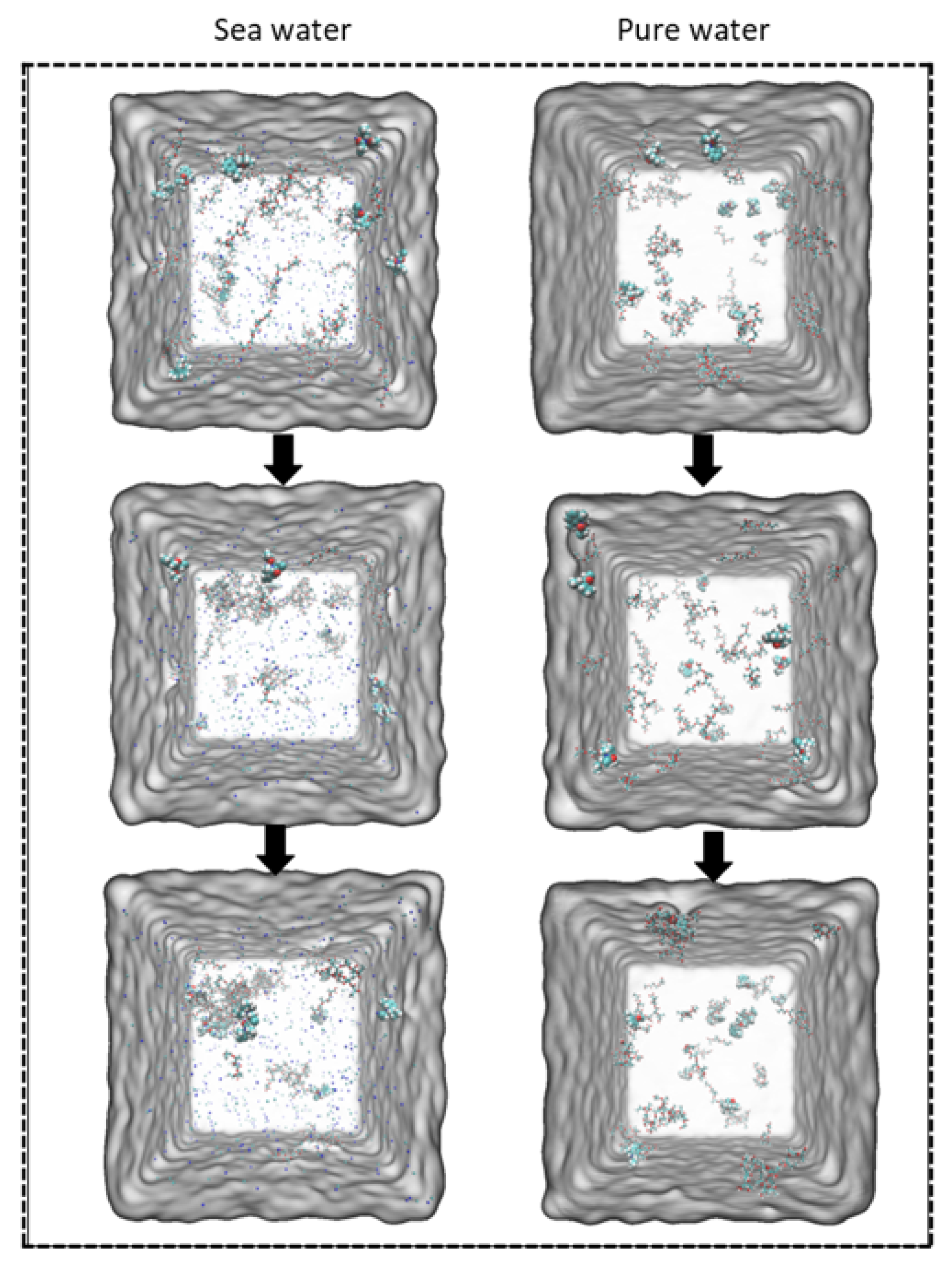 Marine Conditions Enhance Acetochlor Adsorption on Biodegradable ...
