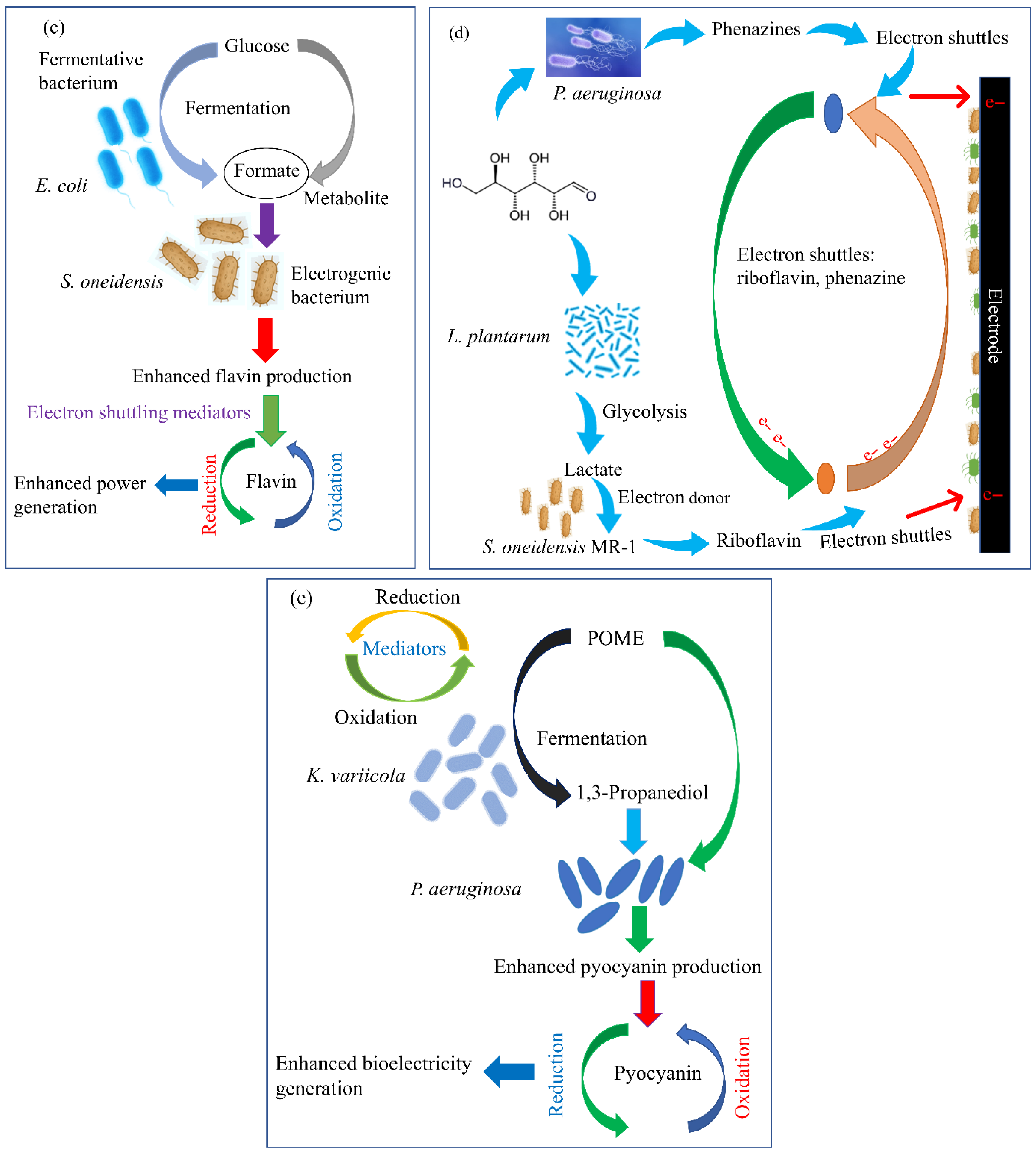 Microbial Synergistic Interactions in Mixed Cultures for Improved and ...