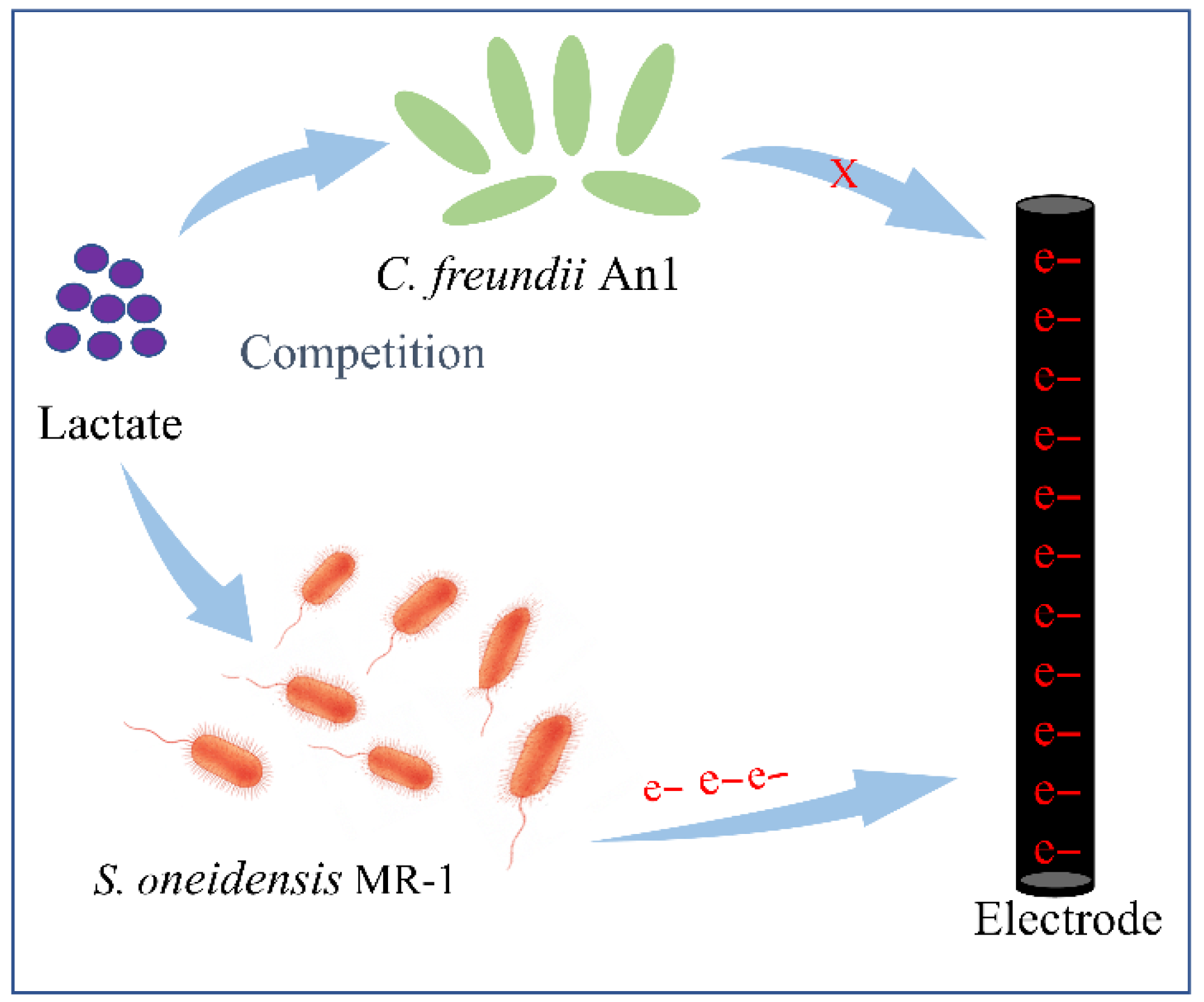 Microbial Synergistic Interactions in Mixed Cultures for Improved and ...