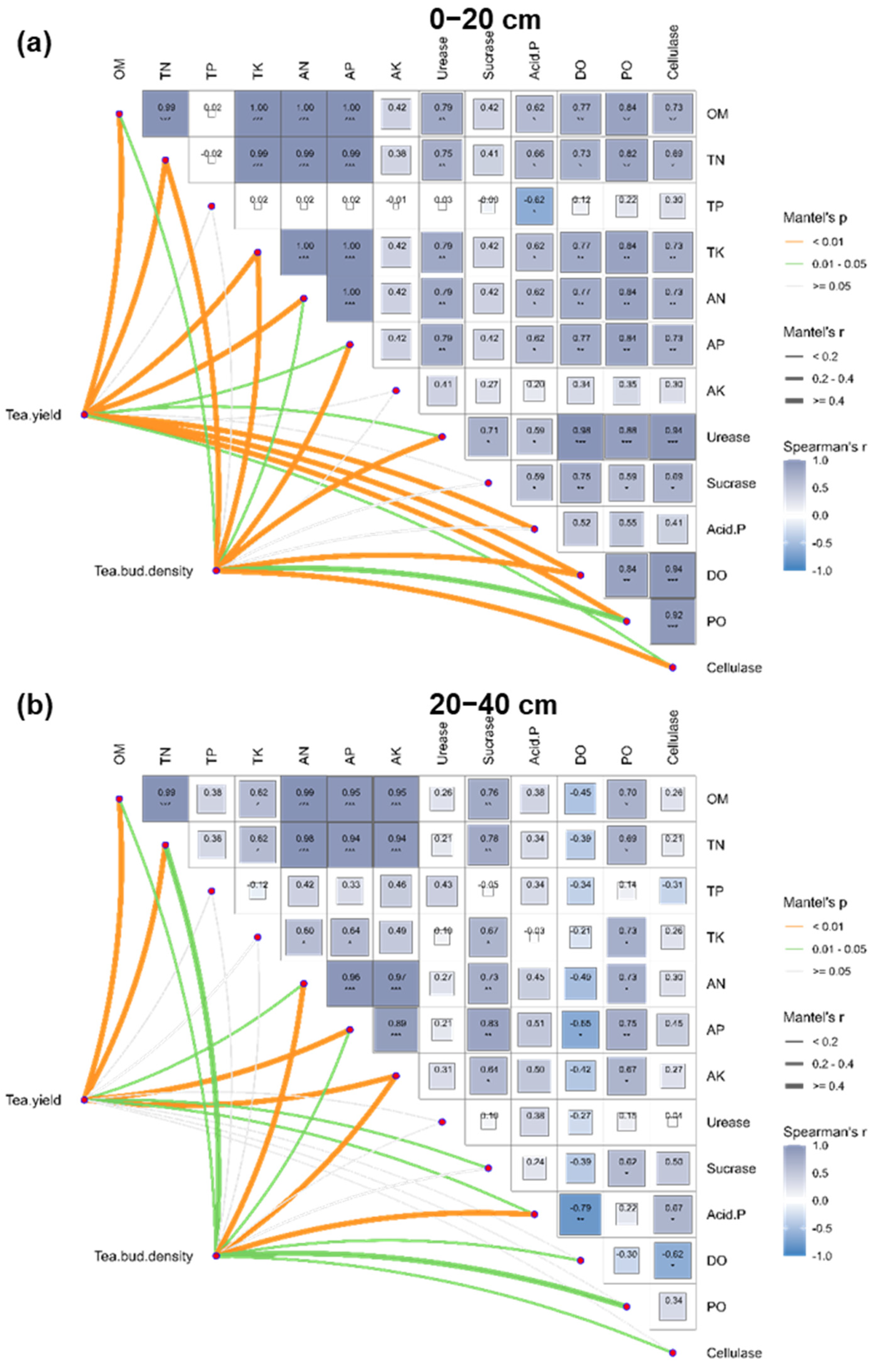 Effects of Agroforestry Intercropping on Tea Yield and Soil Biochemical ...