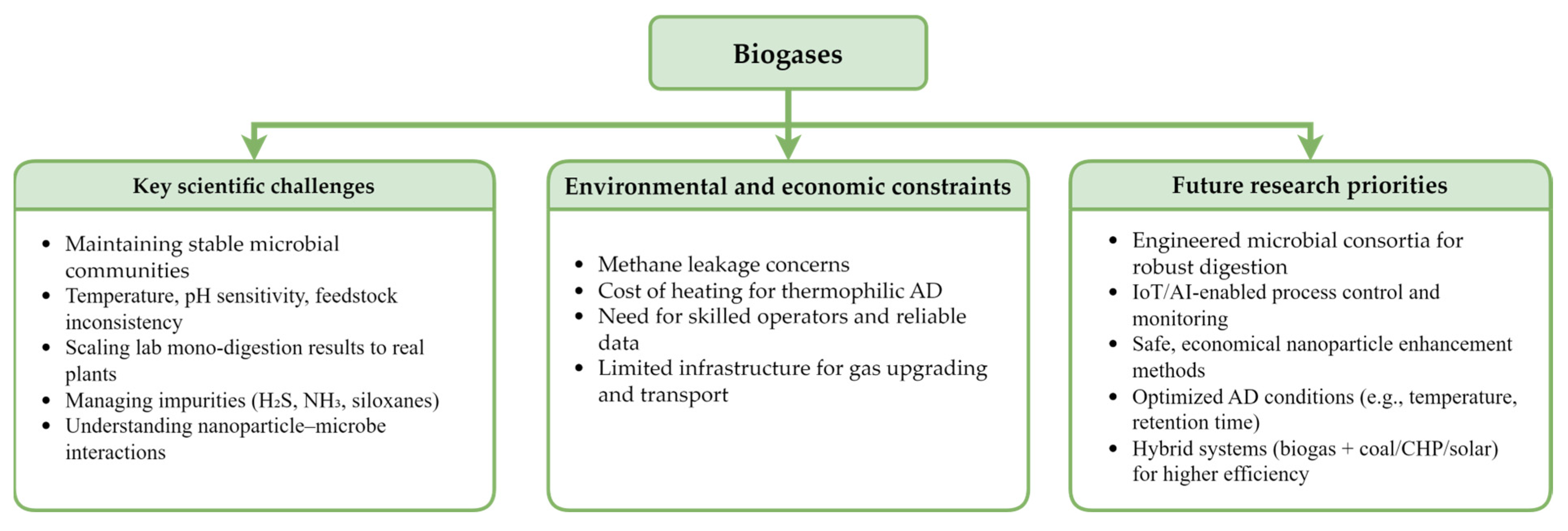 Pathways to Carbon Neutrality: Innovations in Climate Action and ...