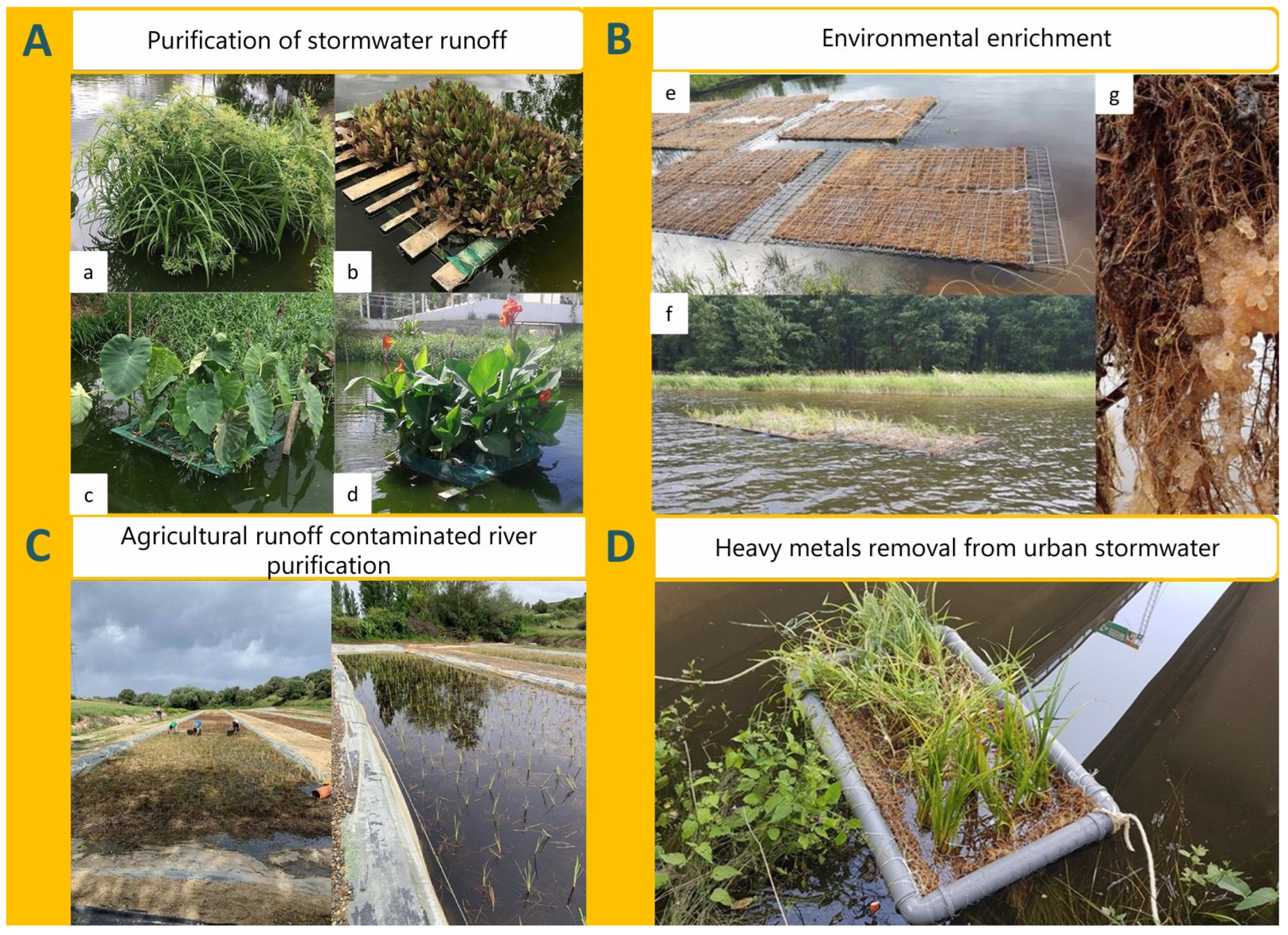 Floating Treatment Wetlands: A Review of Design, Performance, and ...