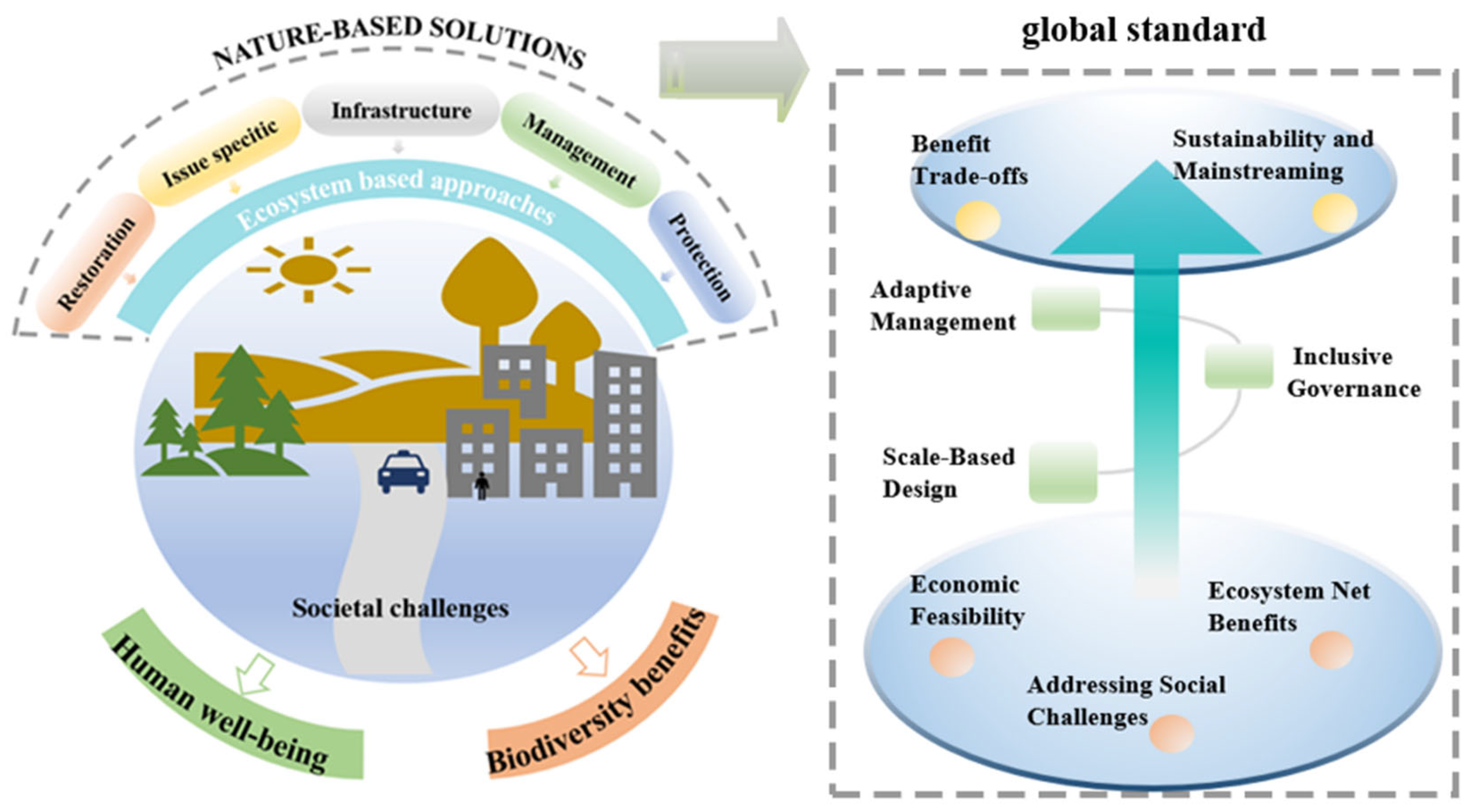 Evaluation of Mine Land Ecological Resilience: Application of the Vague ...