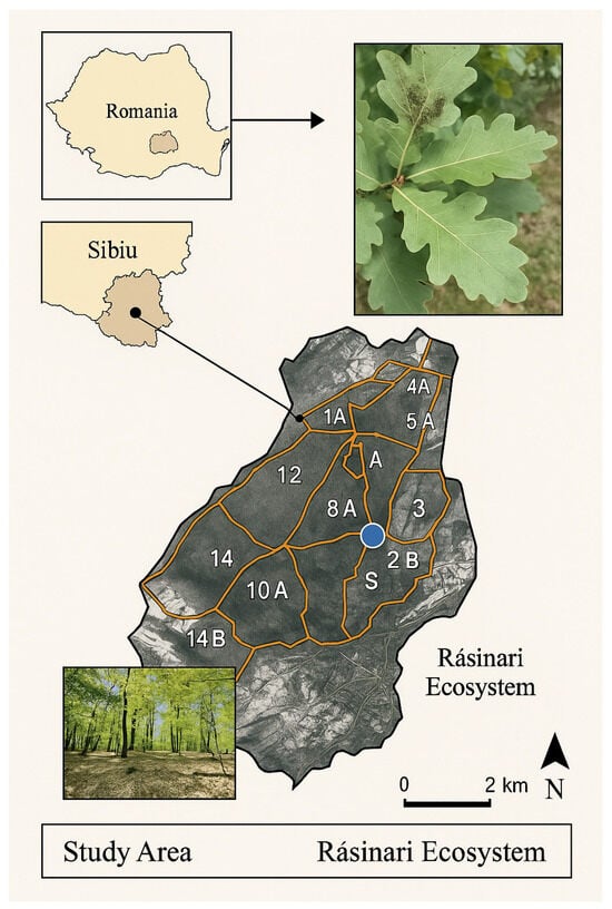 Climate-Driven Phenology and Multigenerational Dynamics of Corythucha ...