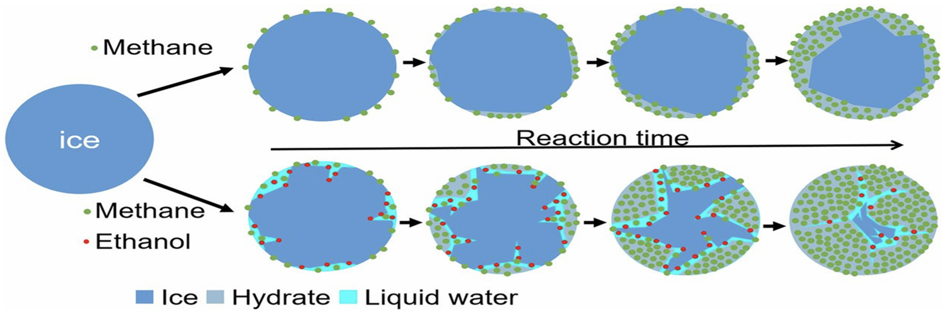 Laboratory Synthesis and Characterization of Natural Gas Hydrates for ...