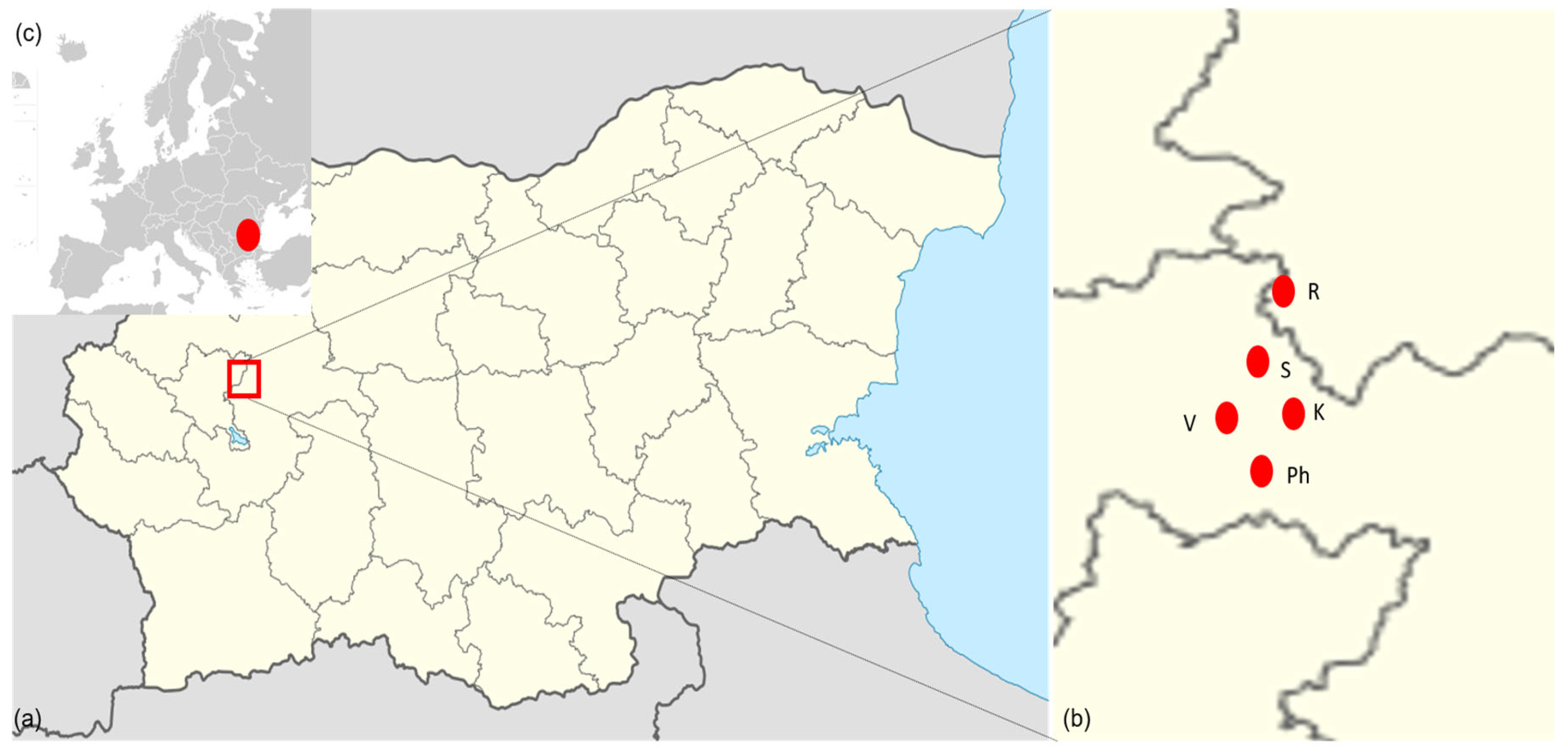A Resource-Efficient Morpho-Statistical Protocol (AMSP) for Functional ...