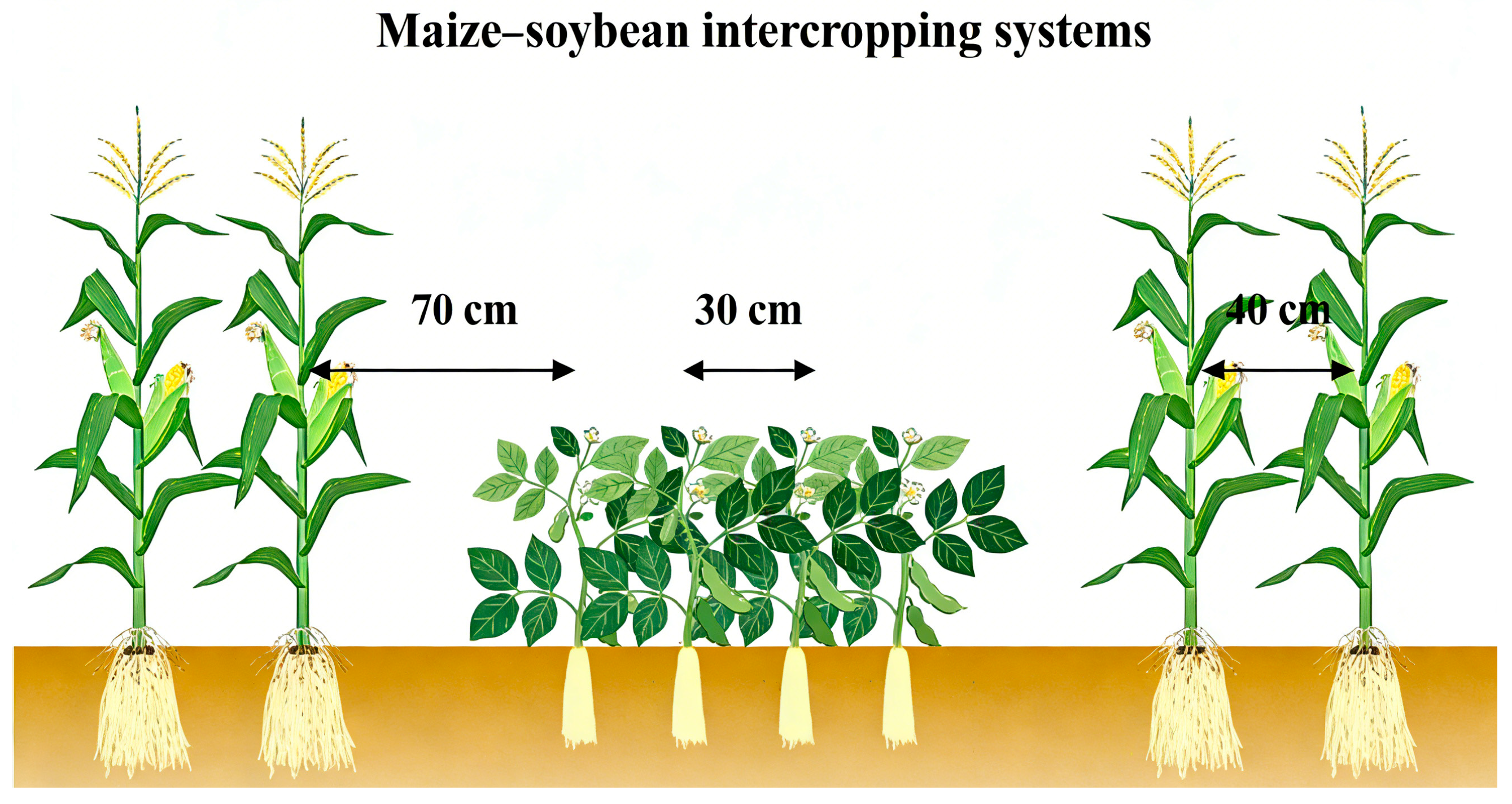 Effects of Reduced N Application on Soil Ammonia Volatilization in ...