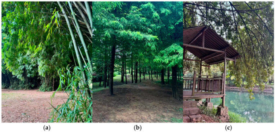 Ecological Determinants of Restorative Outcomes in Forest-Based ...
