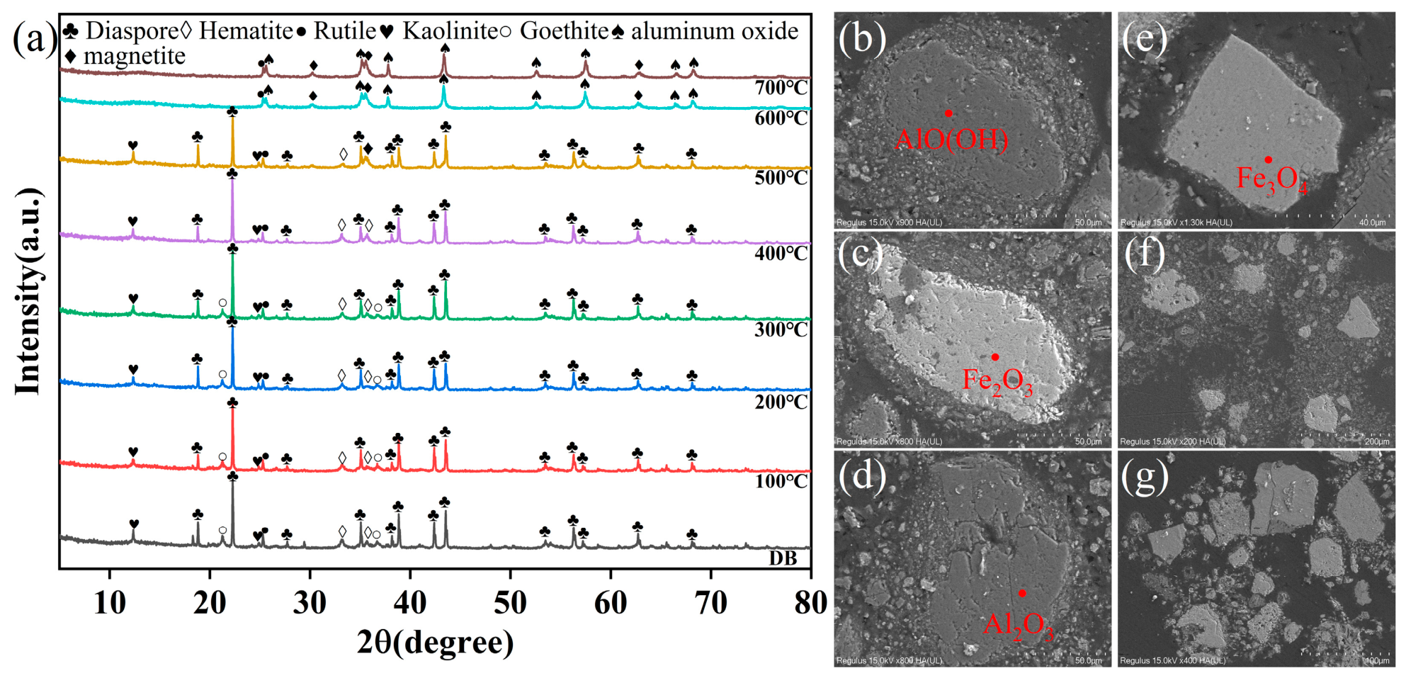 Magnetizing Pre-treatment of Diaspore Bauxite with Bamboo Powder ...