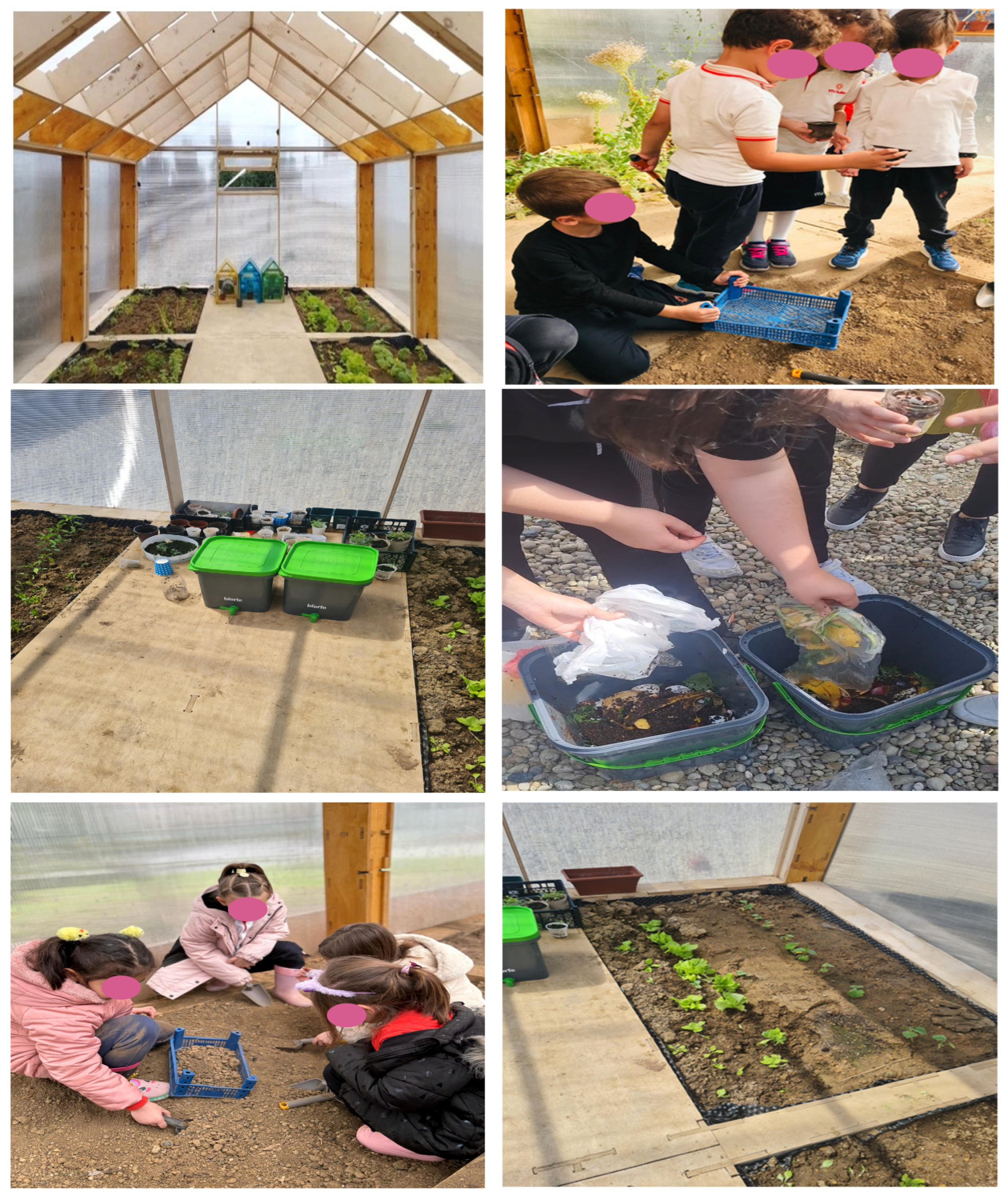 Shaping Students’ Sustainable and Healthy Eating Choices Through ...