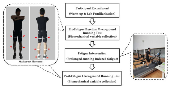 The Effect of Prolonged Running on the Symmetry of Biomechanical ...