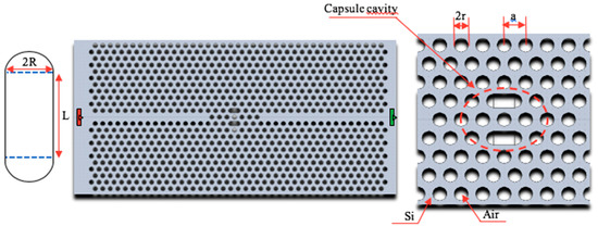 High-Sensitivity Capsule-Shaped Sensor Based on 2D Photonic Crystals