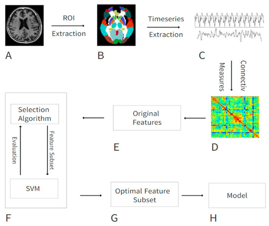 An fMRI Feature Selection Method Based on a Minimum Spanning Tree for ...
