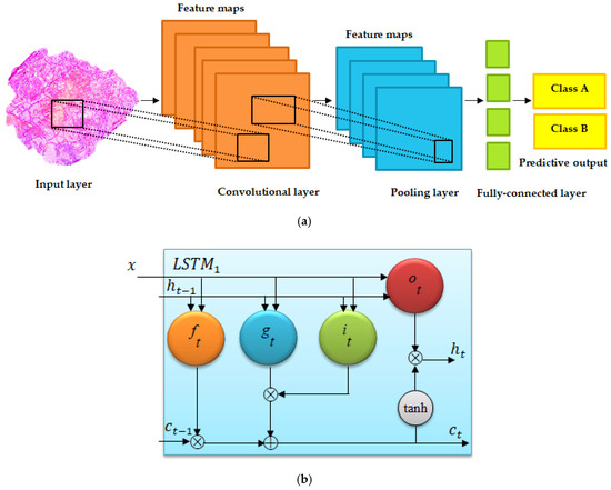 Symmetry | Free Full-Text | Multi-Modal Evolutionary Deep Learning ...