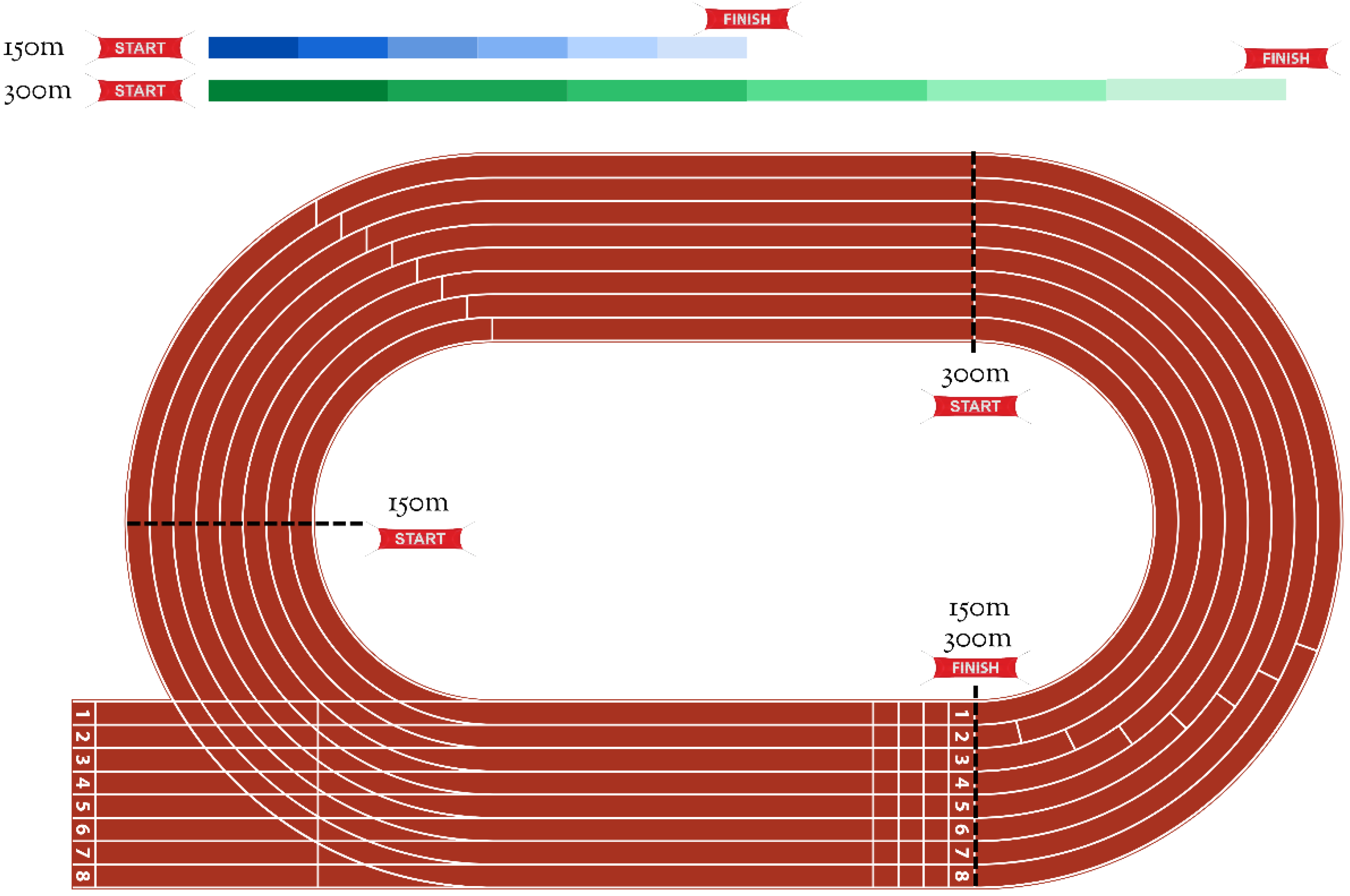 Track And Field Know All The Running Jumping And Throwing 44 OFF Track And Field Know All The Running Jumping And Throwing 44 OFF