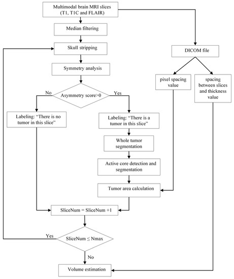 Symmetry | Free Full-Text | Automatic Brain Tumor Detection and Volume ...