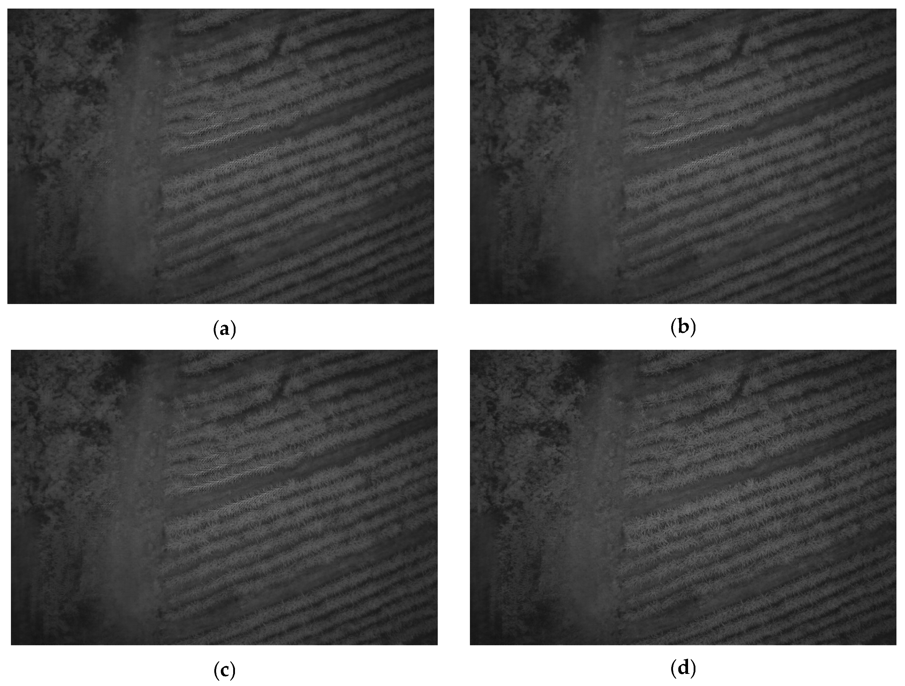 From RGB to Synthetic NIR: Image-to-Image Translation for Pineapple ...
