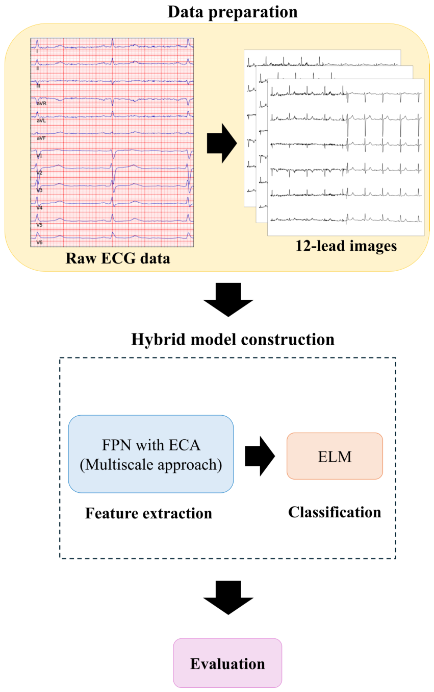 A Lightweight Multiscale Deep Learning Framework for Automated ...