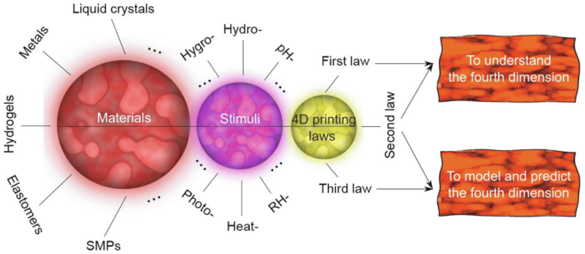 Fundamentals and Uses of 4D Printing on Textiles