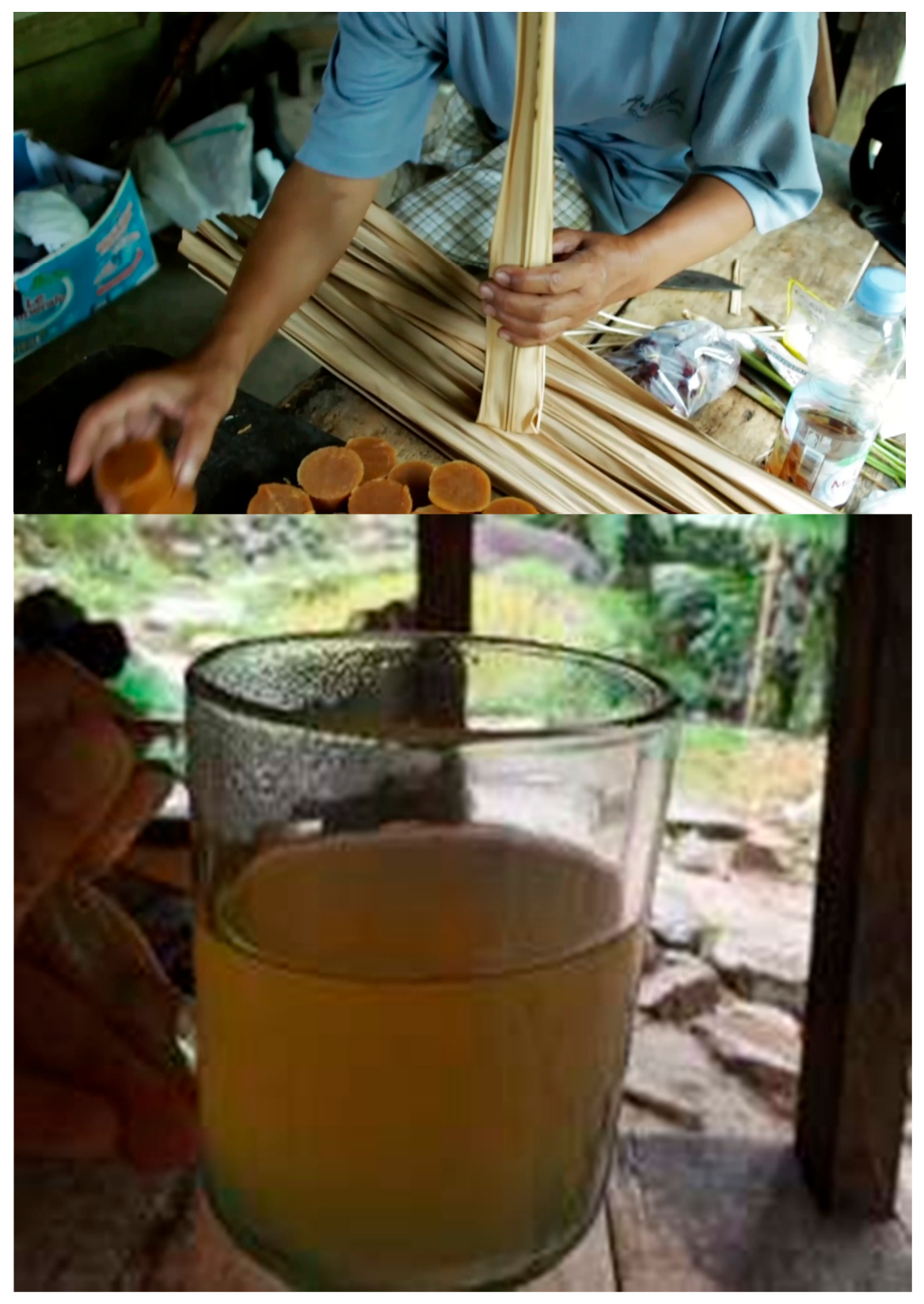 Layered Participation in Sustainable Rural Tourism: Participatory ...