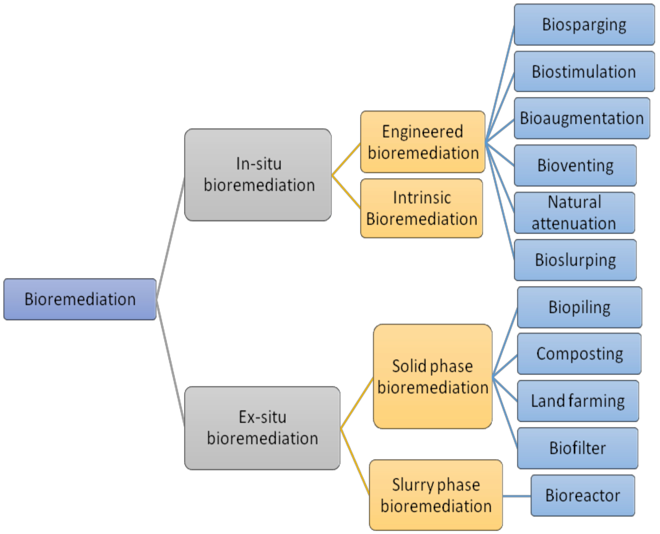 Toxics Free Full Text Recent Strategies For Bioremediation Of Toxics Free Full Text Recent Strategies For Bioremediation Of