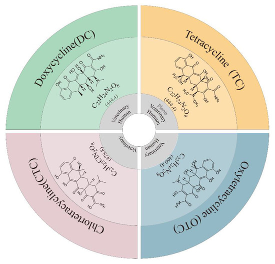 The Source and Distribution of Tetracycline Antibiotics in China: A Review