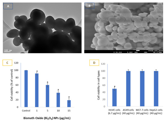 Bismuth Oxide (Bi2O3) Nanoparticles Cause Selective Toxicity in a Human ...