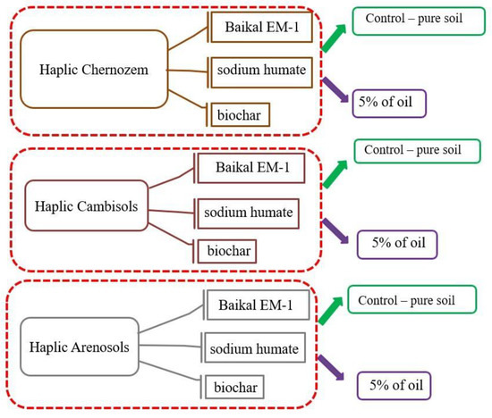 Toxics | Free Full-Text | Enzymatic Assessment of the State of Oil-Contaminated Soils in the ...