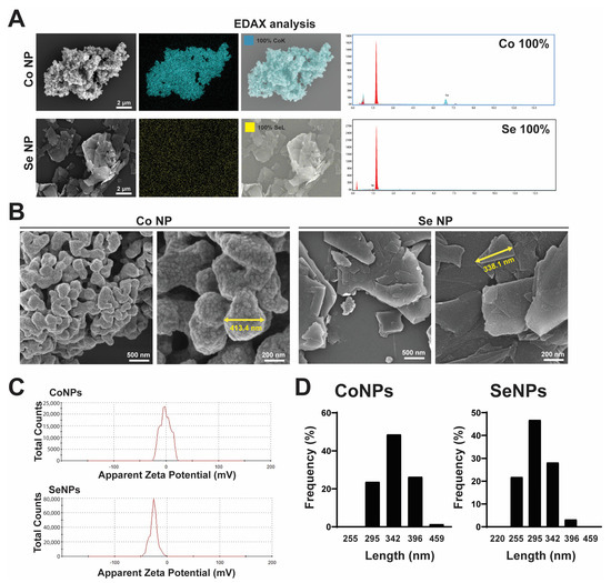 Selenium Nanoparticles Attenuate Cobalt Nanoparticle-Induced Skeletal ...