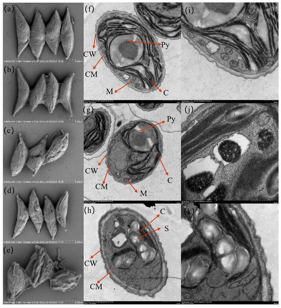 Toxics | An Open Access Journal from MDPI