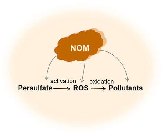 The Dual Role of Natural Organic Matter in the Degradation of Organic ...