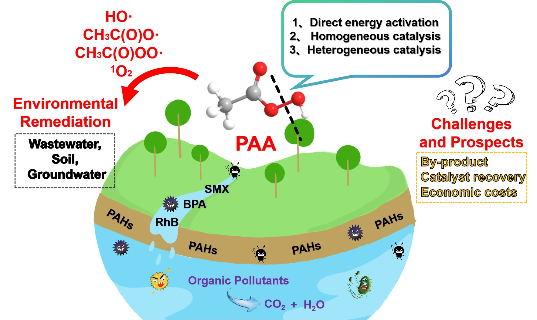 Unlocking the Oxidative Performance of Peracetic Acid: A Comprehensive ...