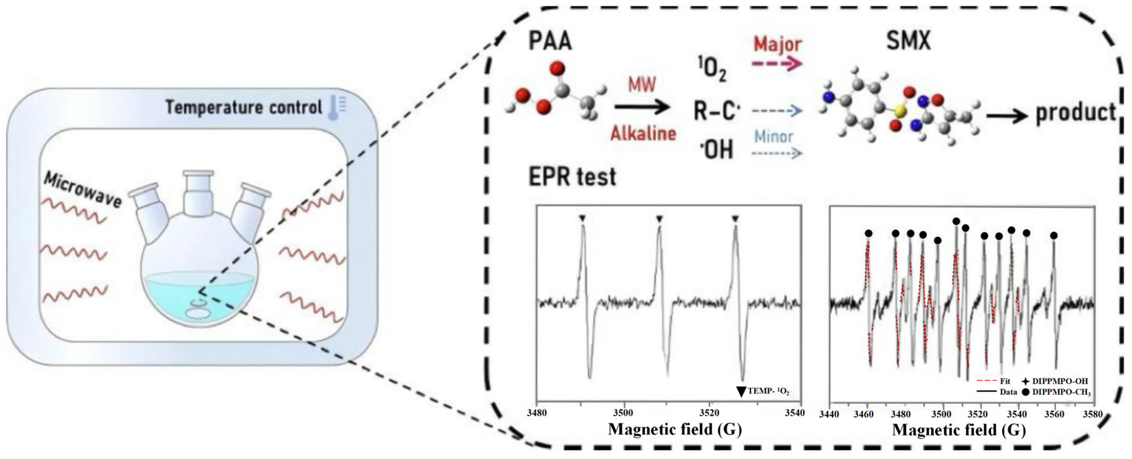 Unlocking the Oxidative Performance of Peracetic Acid: A Comprehensive ...