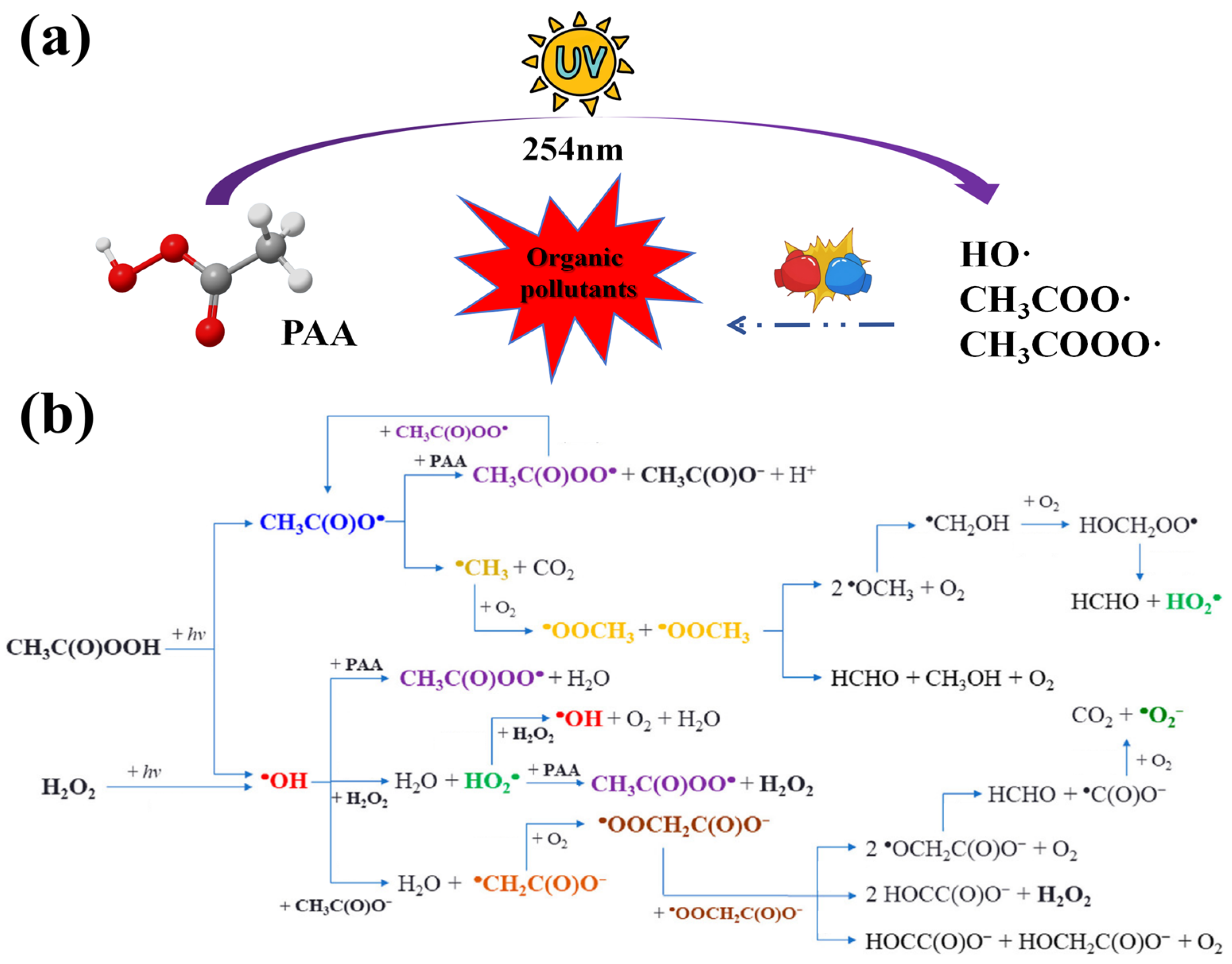 Unlocking the Oxidative Performance of Peracetic Acid: A Comprehensive ...