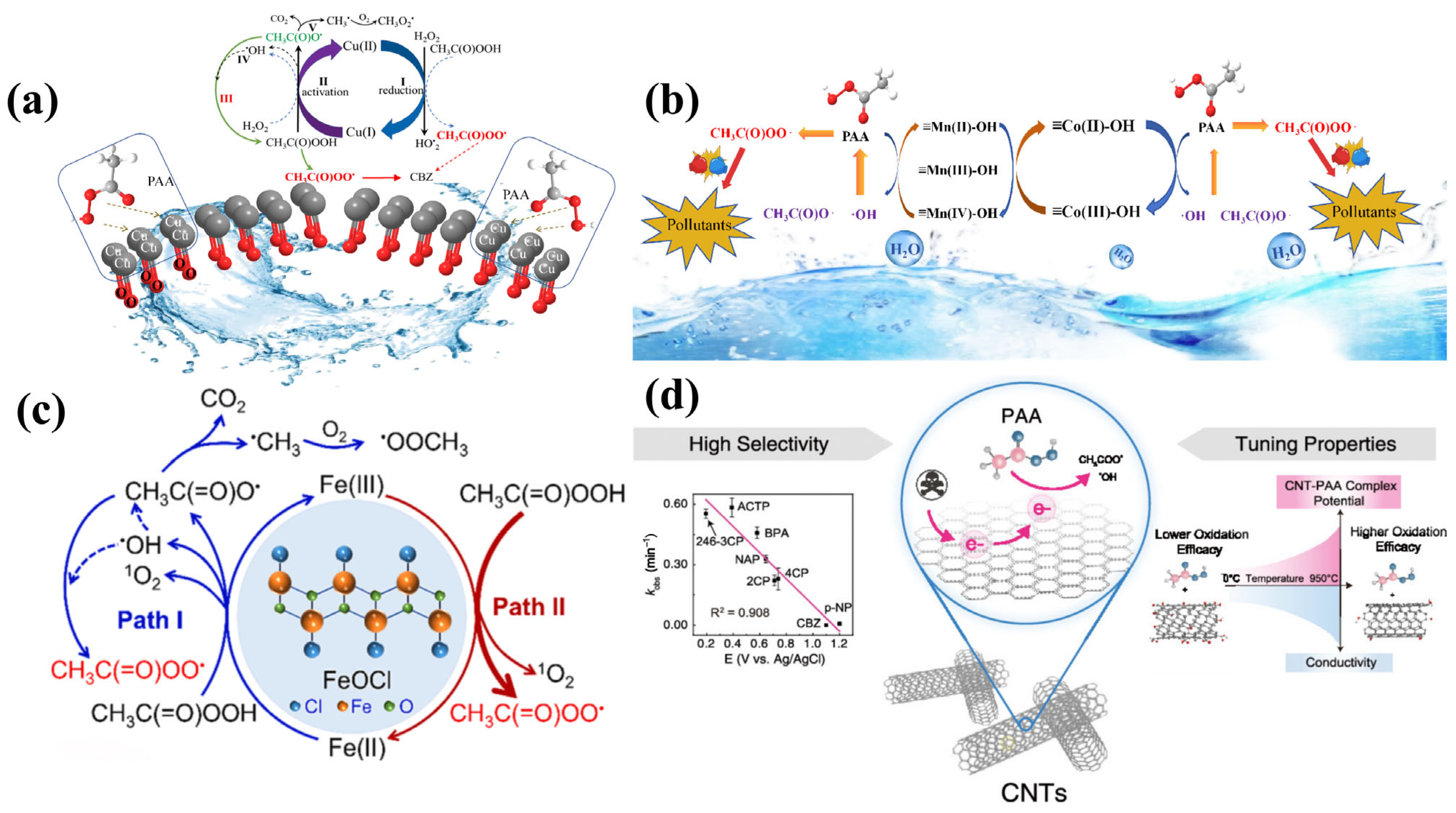 Unlocking the Oxidative Performance of Peracetic Acid: A Comprehensive ...