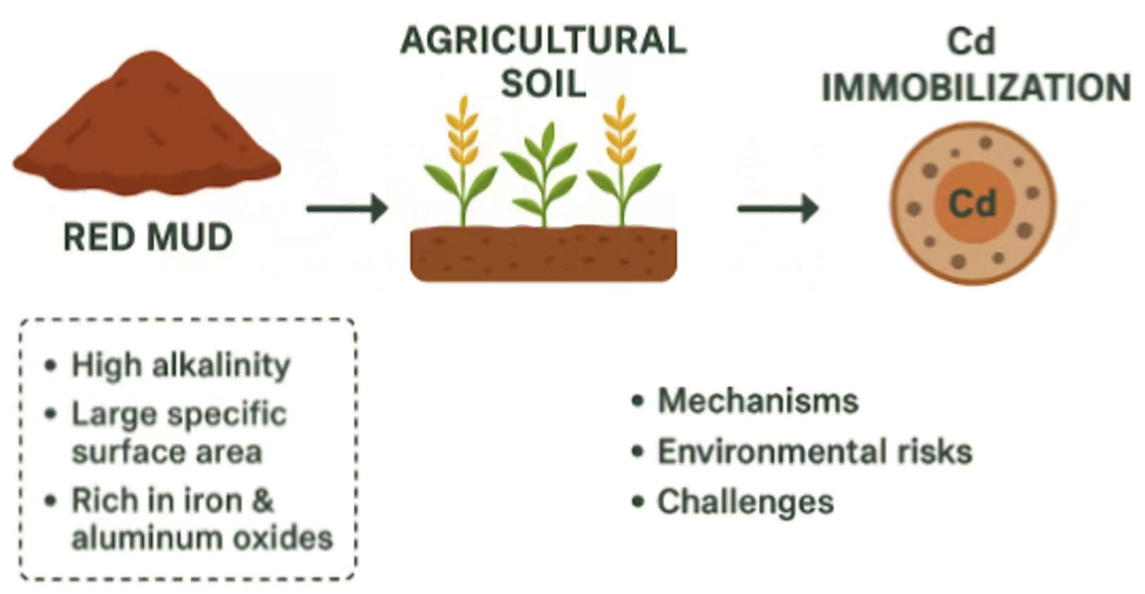 The Use of Red Mud in Agricultural Soil Cadmium Remediation: A Critical ...