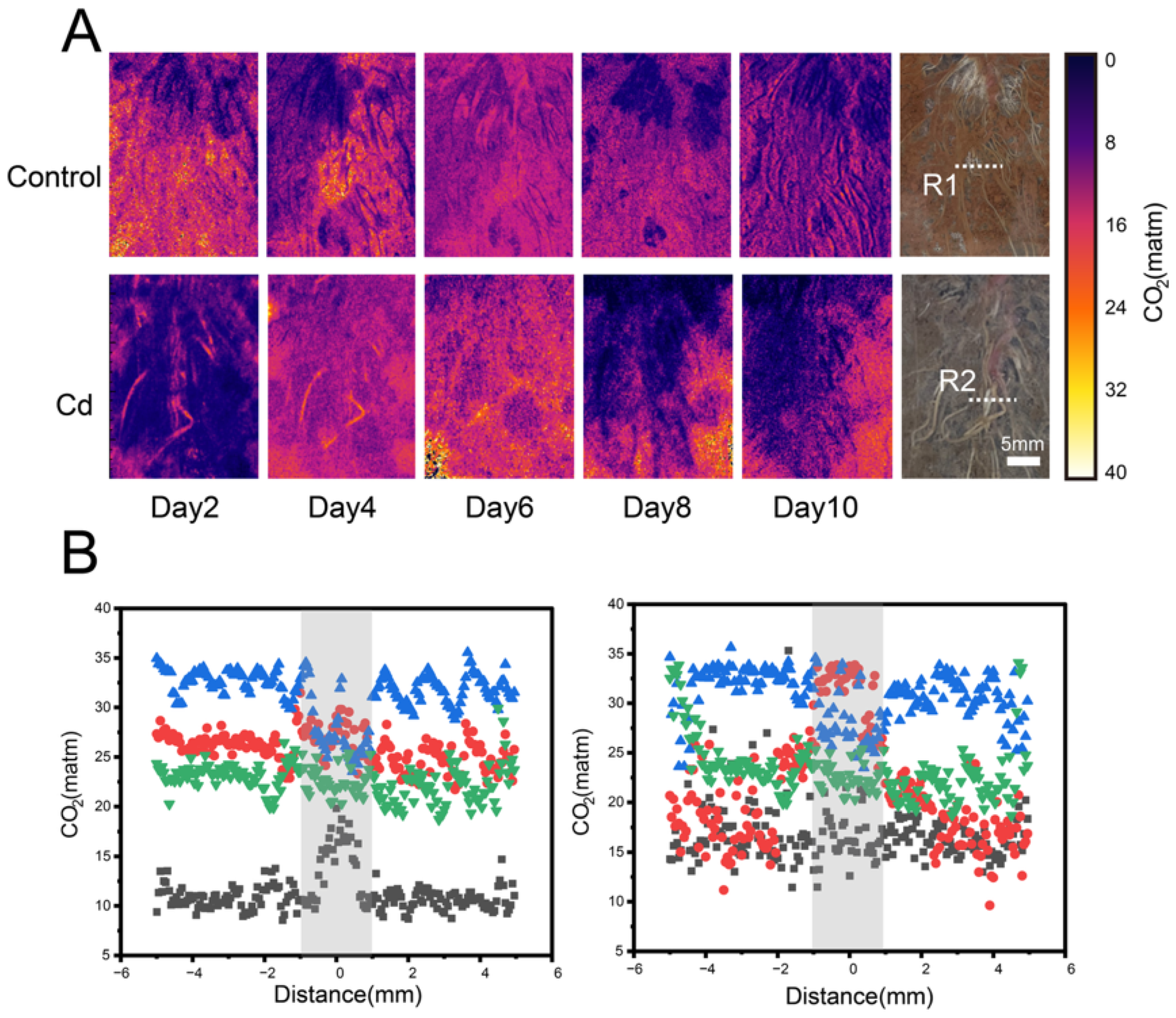 Planar Optode Imaging Reveals Spatio-Temporal Heterogeneity of ...