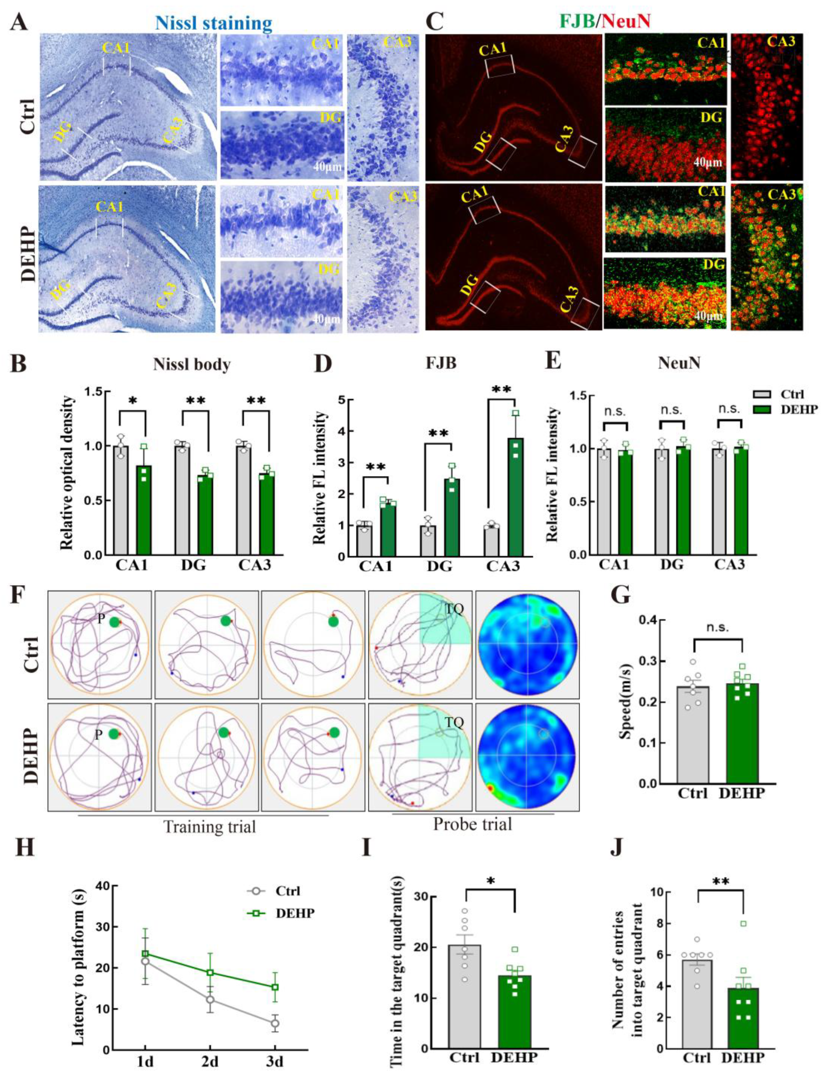 Integrated Profiling of DEHP-Induced Hippocampal Neurotoxicity in Adult ...