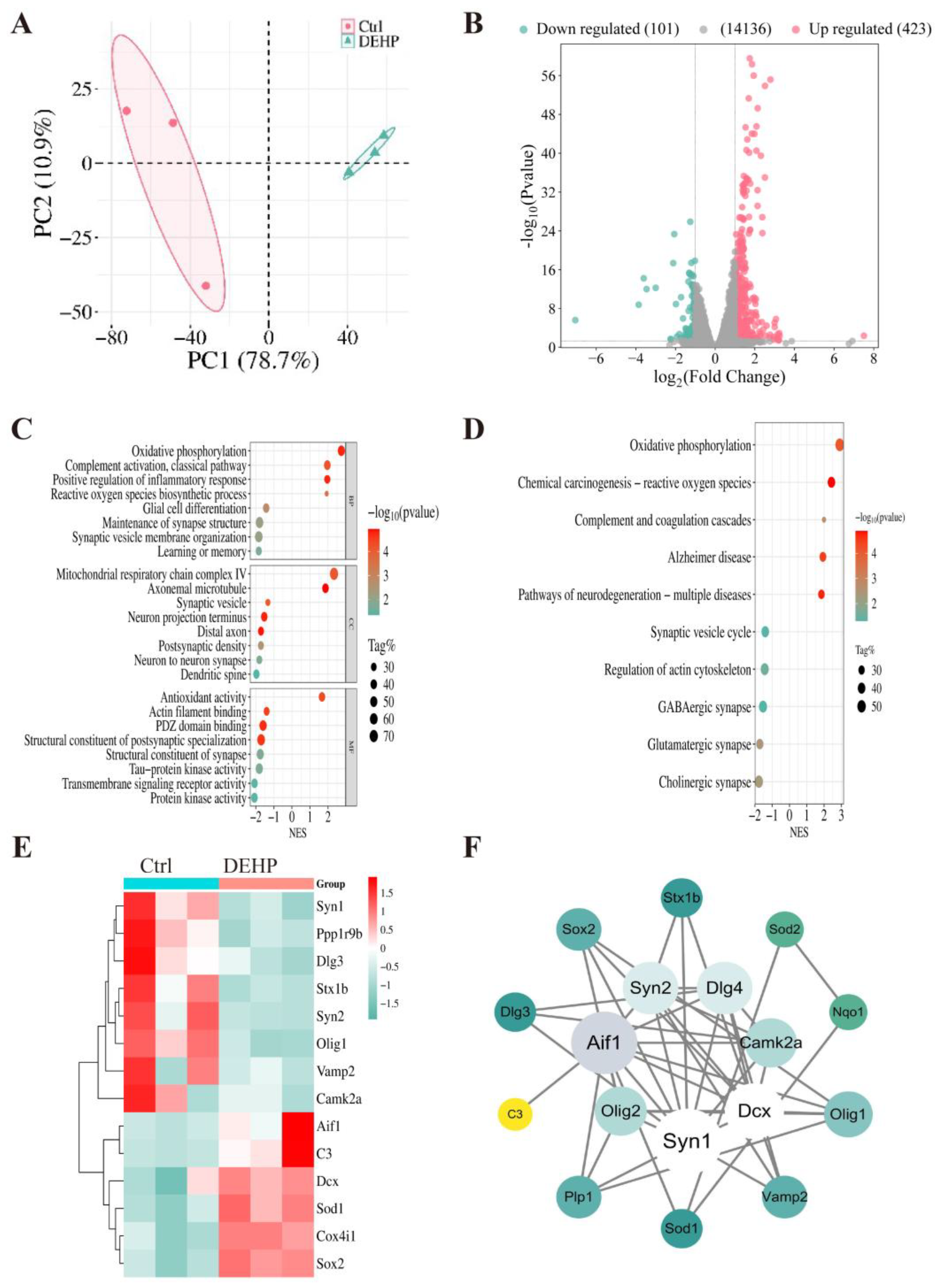 Integrated Profiling of DEHP-Induced Hippocampal Neurotoxicity in Adult ...