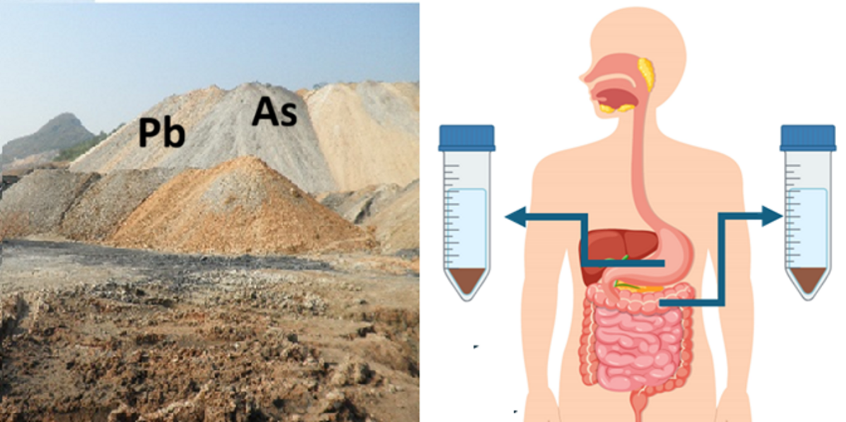 Bioaccessibility of Lead and Arsenic in Mining Waste and Mining ...