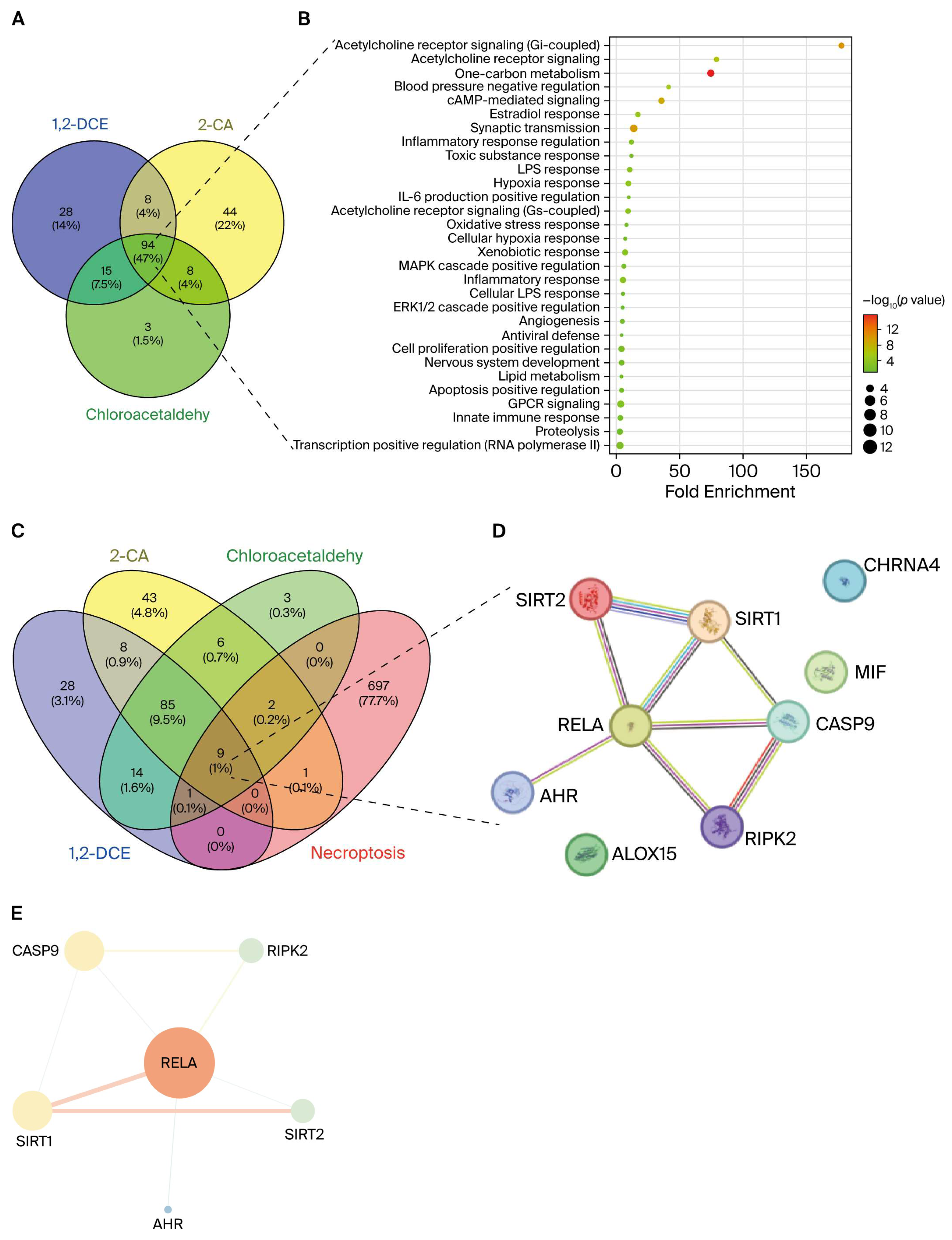 AHR-CYP1A1 Axis Perturbation and Necroptosis in 1,2-Dichloroethane ...