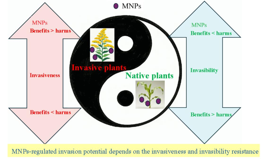 Micro(nano)plastics and Terrestrial Invasive Plants