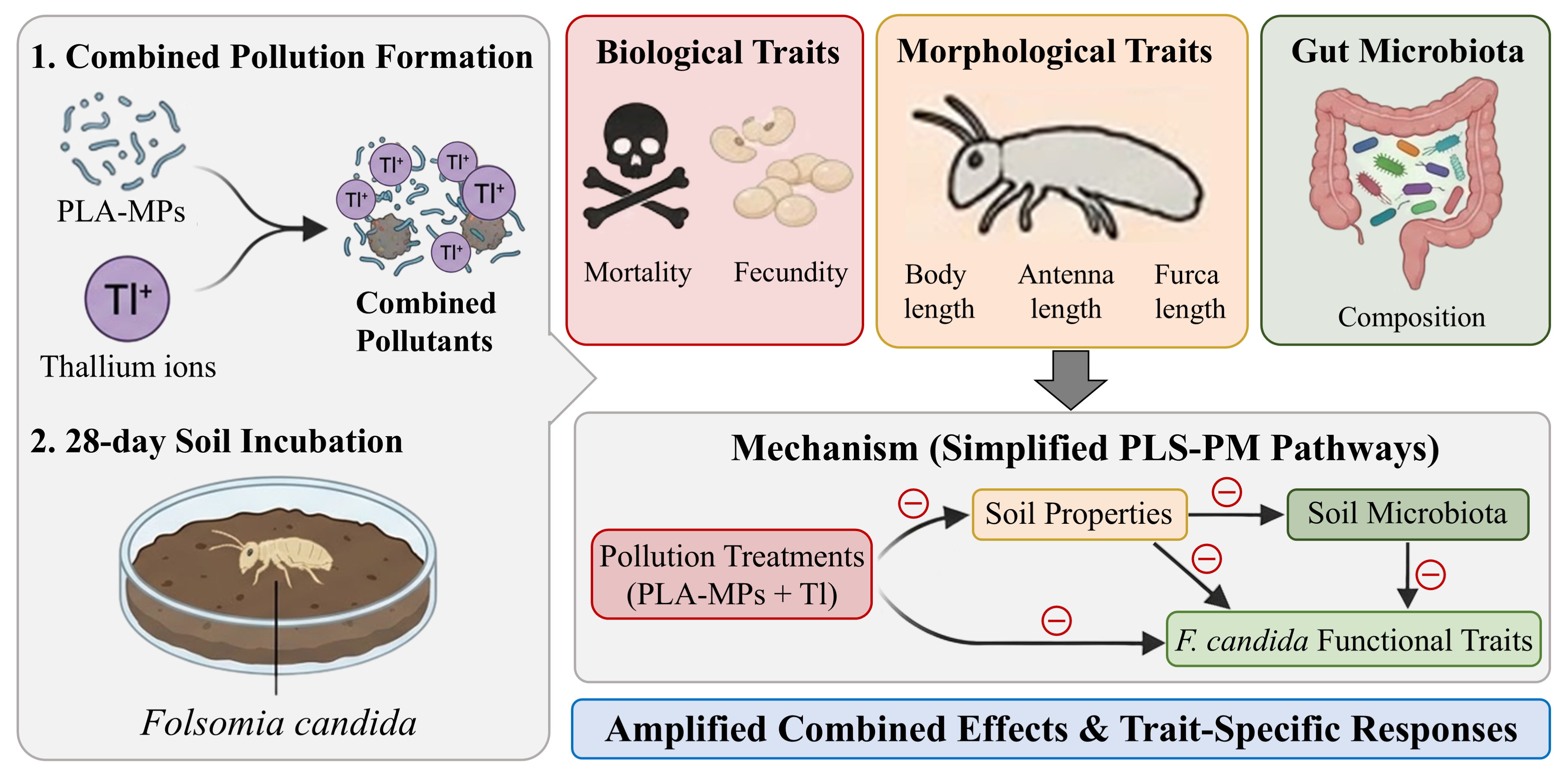 Ecotoxicity of Combined Polylactic Acid Microplastics and Thallium ...