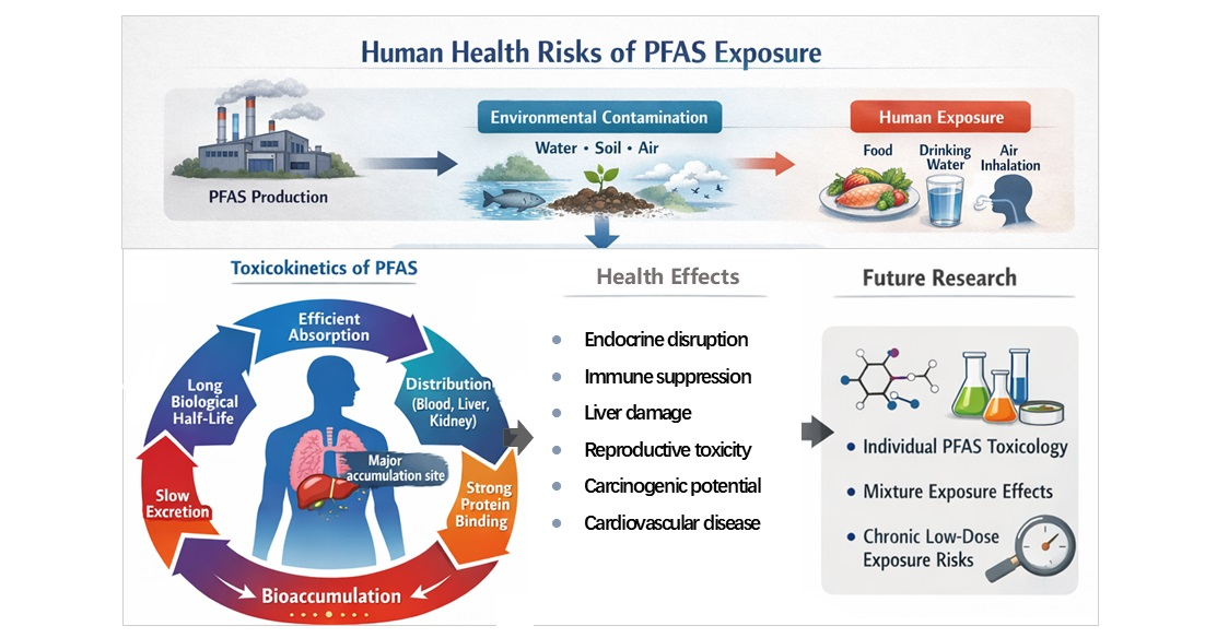 Toxicological Effects and Health Impacts of Per- and Polyfluoroalkyl ...
