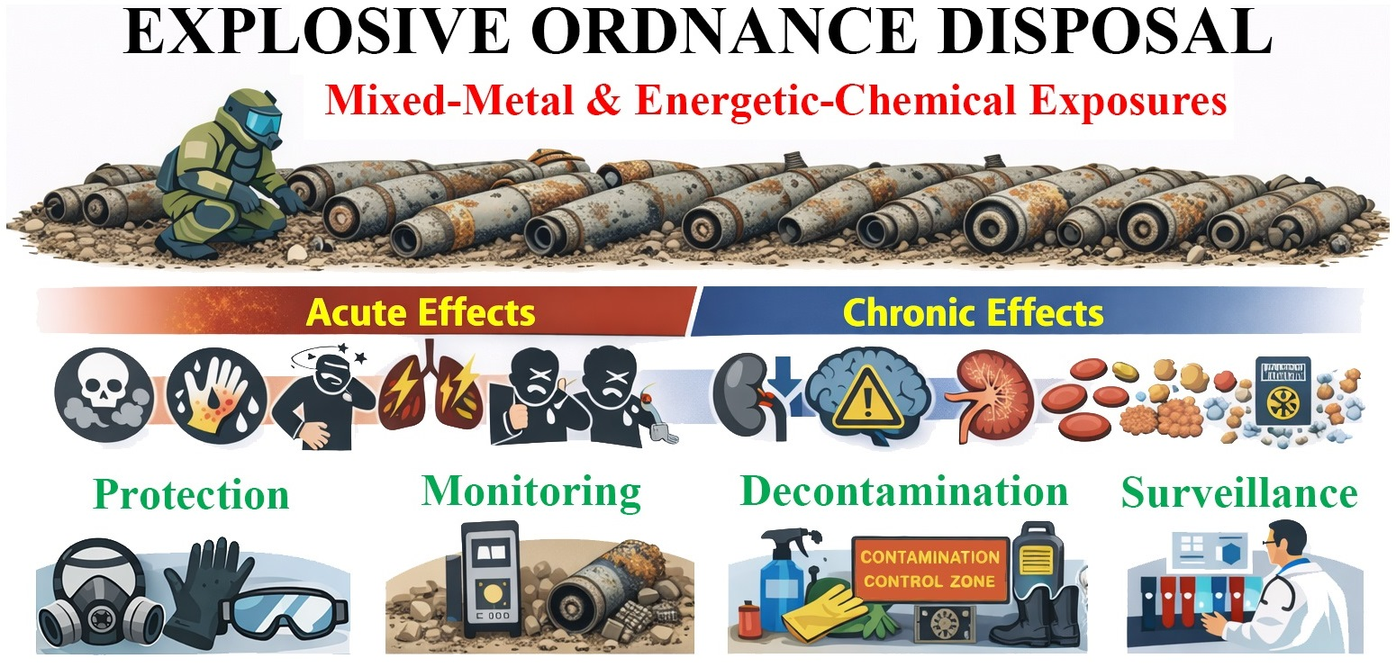 Beyond Blast Injury: Occupational Hygiene, Safety, and Toxicology ...